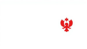 Kingdom of Muscovy Flag