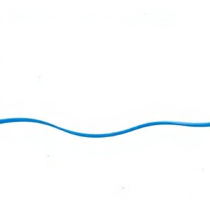 Facts About Burmese Pythons