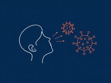 Is Budapest In Prague