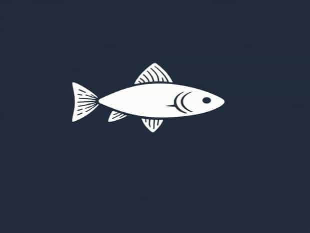 Caring For A Bucktooth Tetra