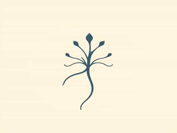 Meaning Of Filamentous In Biology